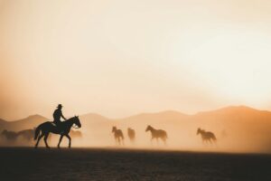 Mastering Sepia Color Tone in Photography: Techniques and History ...