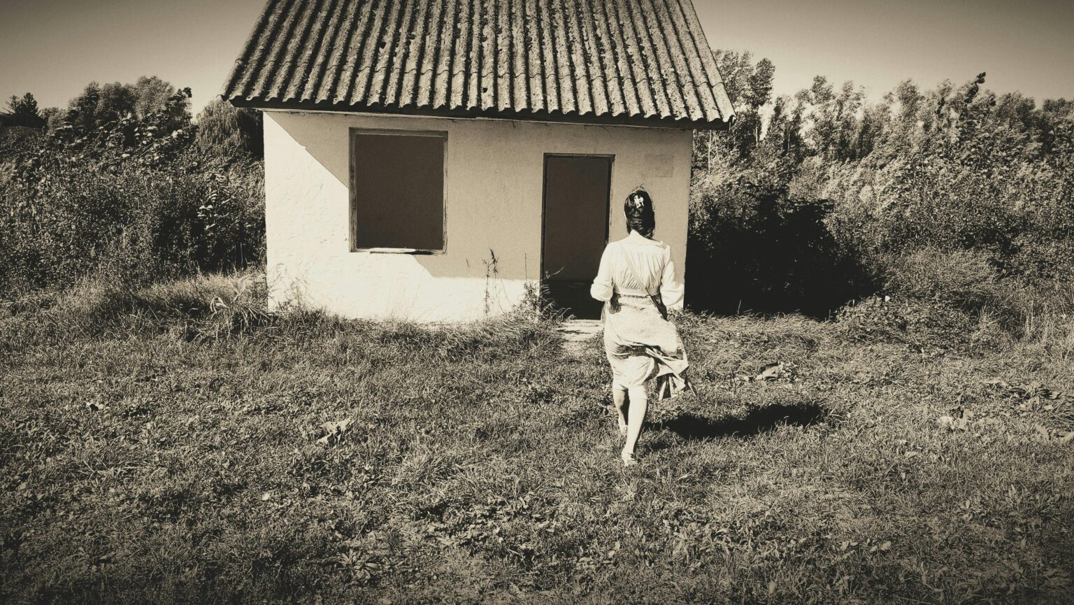 Sepia Tone Color: History, Techniques, and Modern Applications - First ...