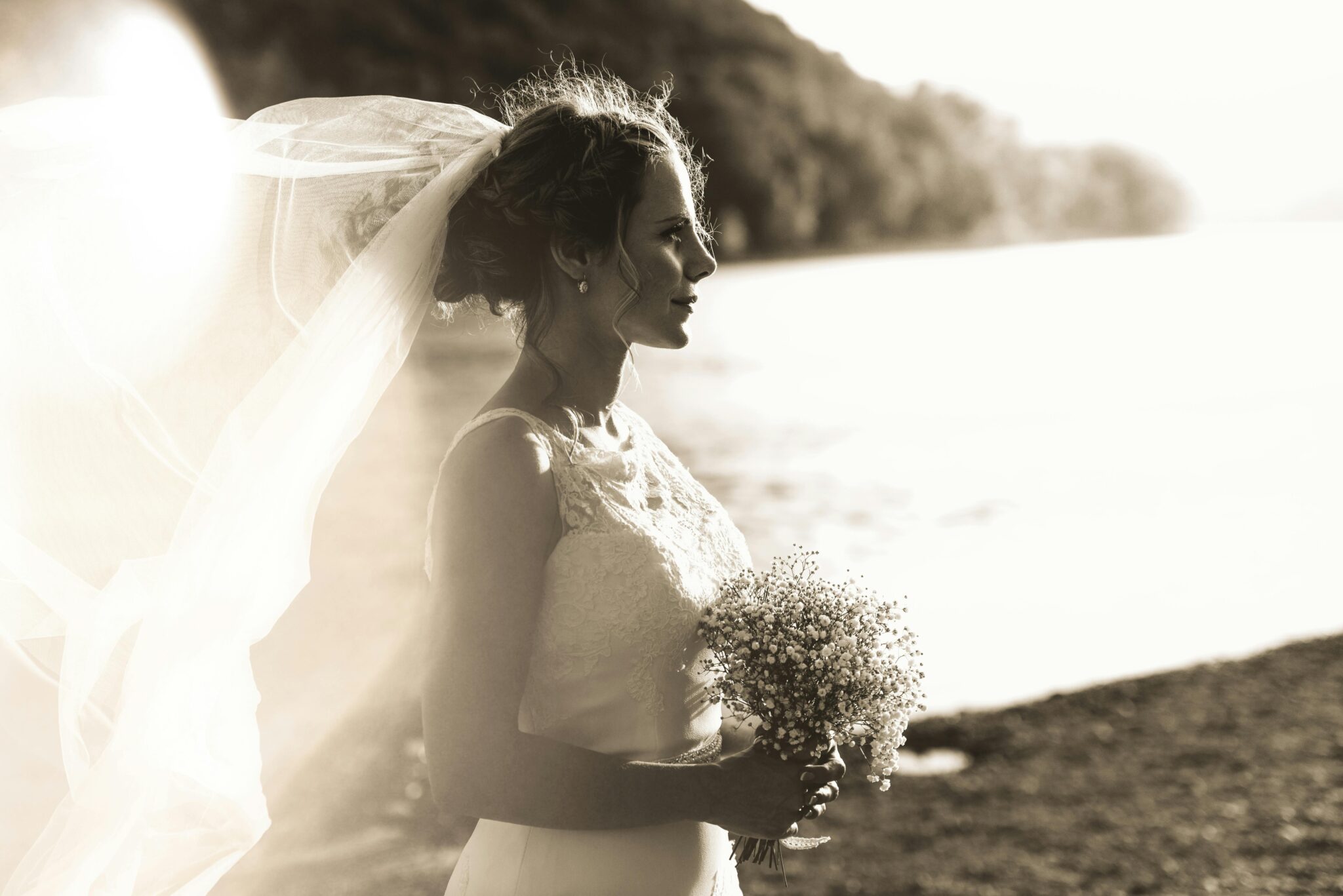 Sepia Color in Photography: History, Techniques, and Modern ...